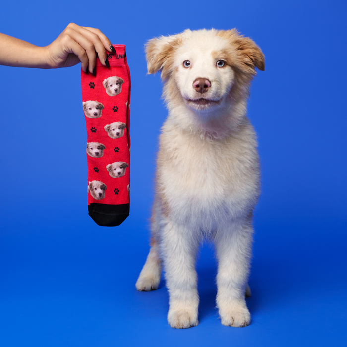 Custom Pet Socks - Personalized Socks - Order Now